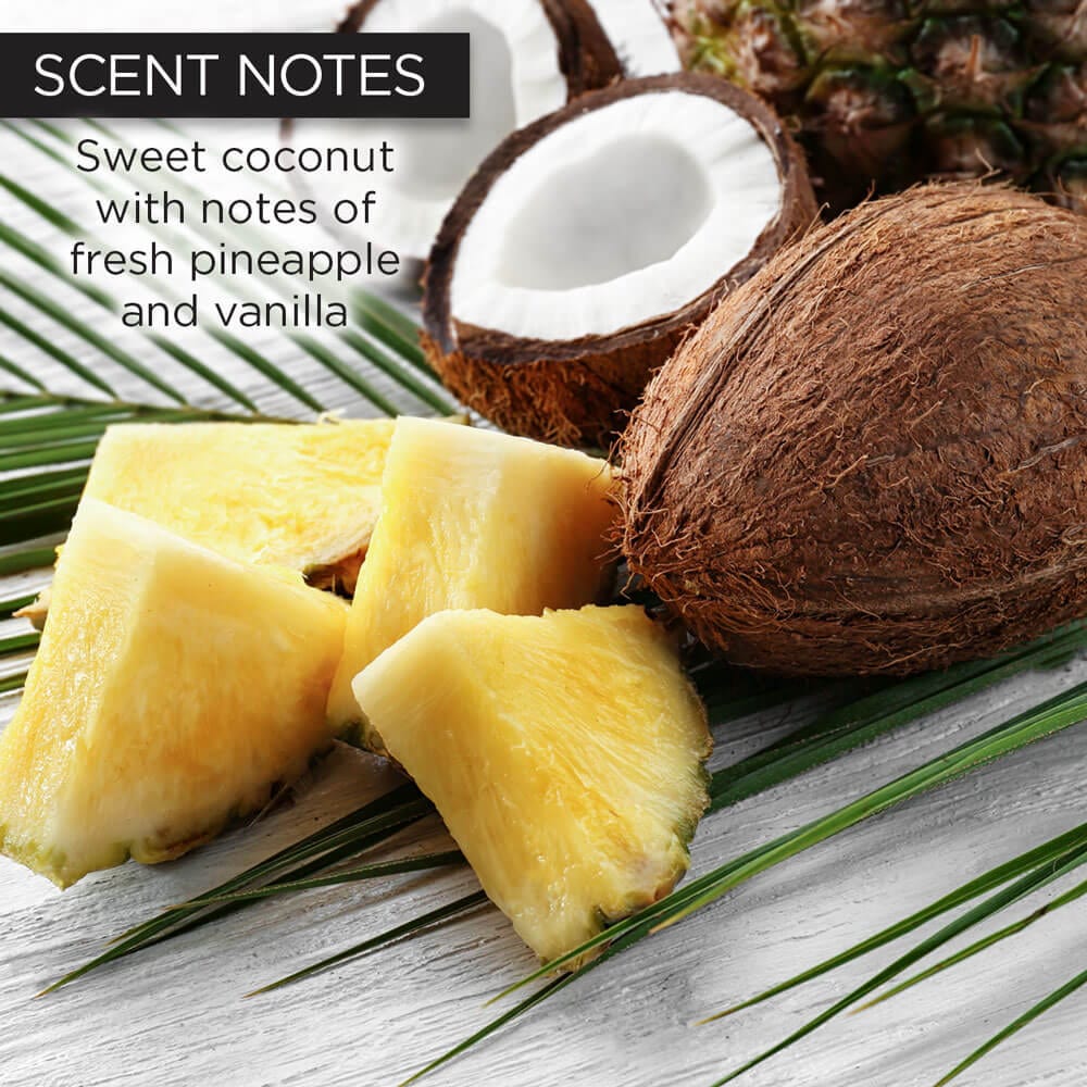 Coconut Body Butter - Natural Body Butter with Coconut Oil | Whish